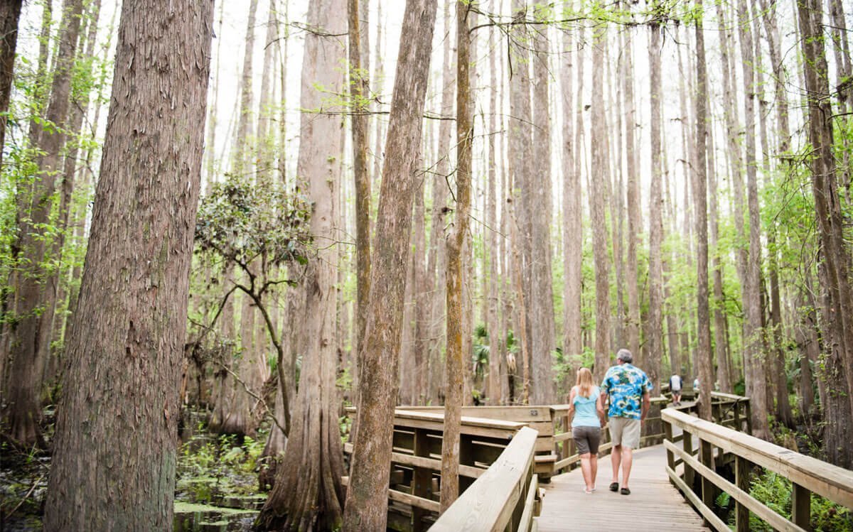 Sebring Official Travel Guide | VacationistUSA