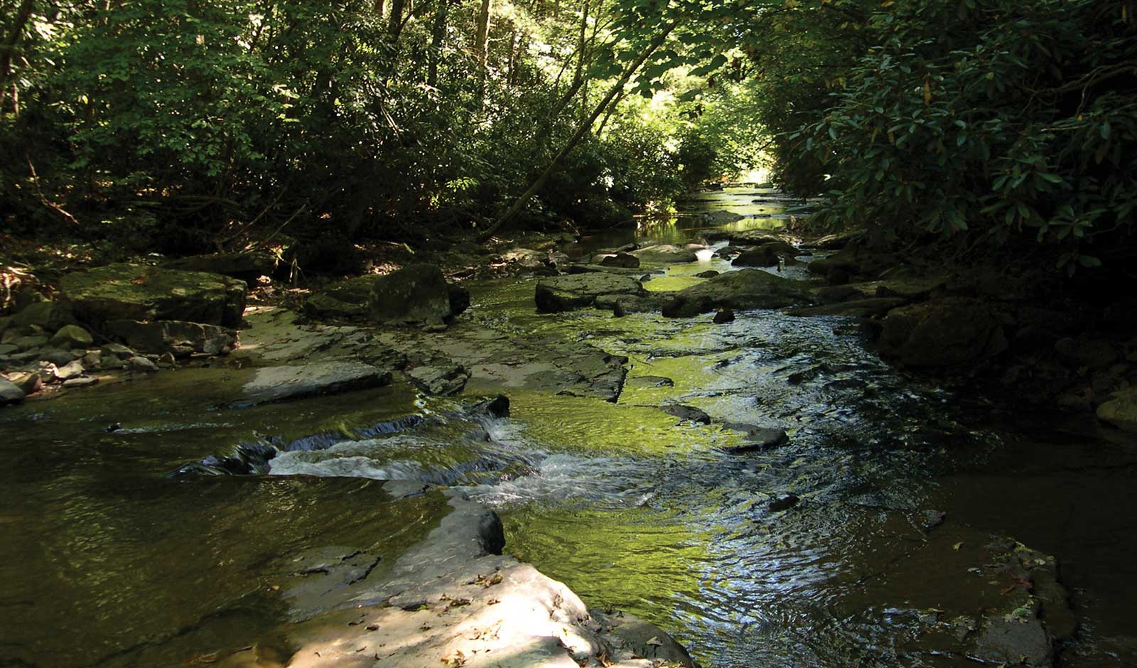 Family Fun in the Mountains | VacationistUSA