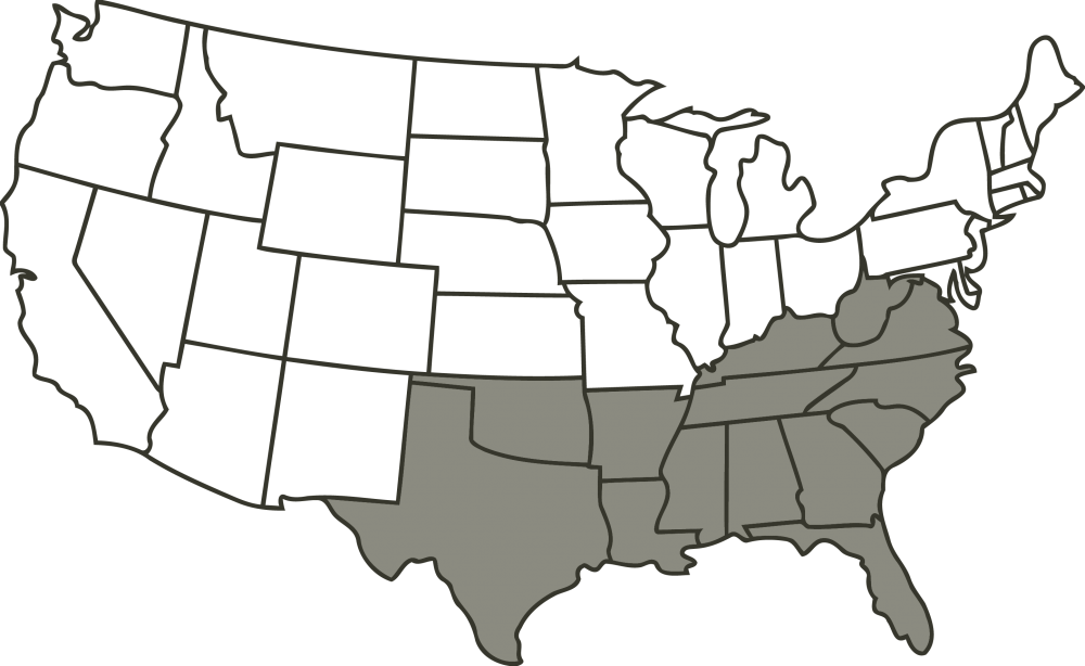 Vacation Spots & Ideas in The South - VacationistUSA